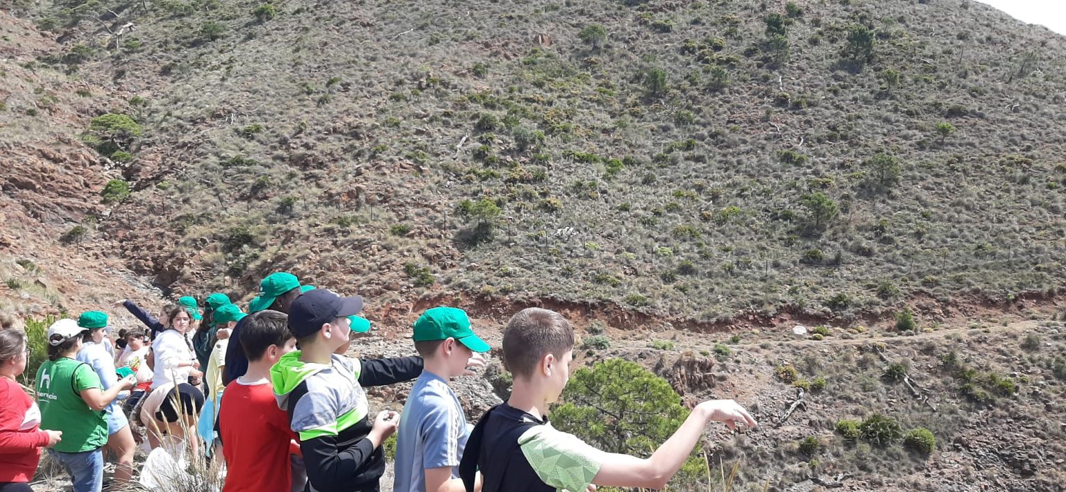 CIFAL Málaga, Amazon y la Junta de Andalucía inician en Estepona y ...